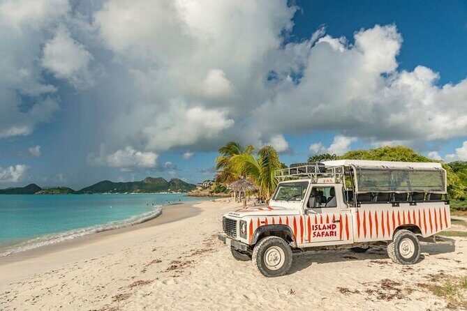 Half-Day Tour: Island Safari Adventure from St. John's - Key Points