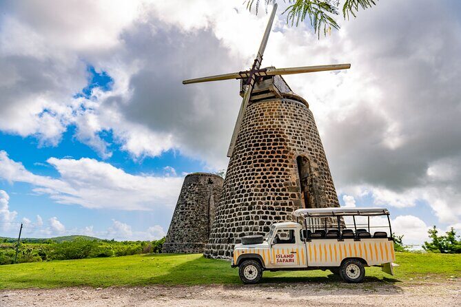 Half-Day Tour: Island Safari Adventure from St. John's - What You Can Expect: A Step-by-Step Breakdown