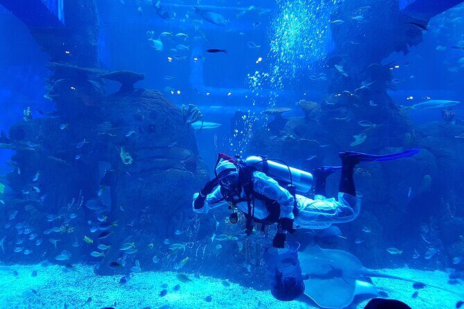 Half Day Tour Jakarta Aquarium and Pantai Indah Kapuk Jakarta - What’s Included and What’s Not?