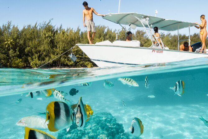 Half Day Tour lagoon discovery marine fauna flora small group - Itinerary Breakdown: What You Can Expect