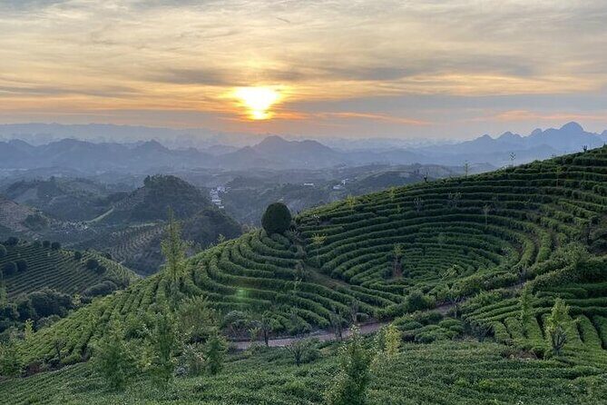 Half-day Tour: Largest Tea Plantation & Amazing Xianggong Hill - Key Points