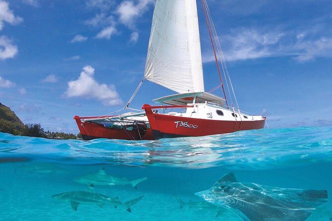 Half Day Tour : Moorea Snorkeling & Sailing on a Catamaran named Taboo - Discover Moorea’s Lagoon with the Snorkeling & Sailing on the Catamaran Taboo Tour