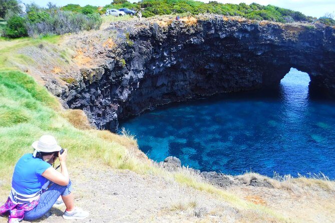 Half Day Tour  Natural Highlights of Faial Island - Analyzing the Value