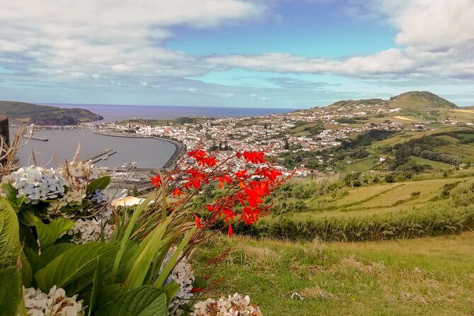 Half Day Tour  Natural Highlights of Faial Island - Who Should Consider This Tour?