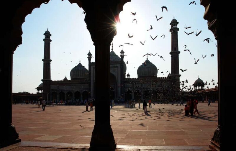 Half-Day Tour of Chandni Chowk, Jama Masjid & Spice Market - Who Should Consider This Tour?
