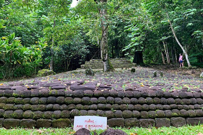 Half-Day Tour of Moorea Island in a Small Group - Introduction: Why This Tour Might Be Your Ideal Moorea Experience