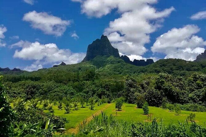 Half-Day Tour of Moorea Island in a Small Group - FAQ