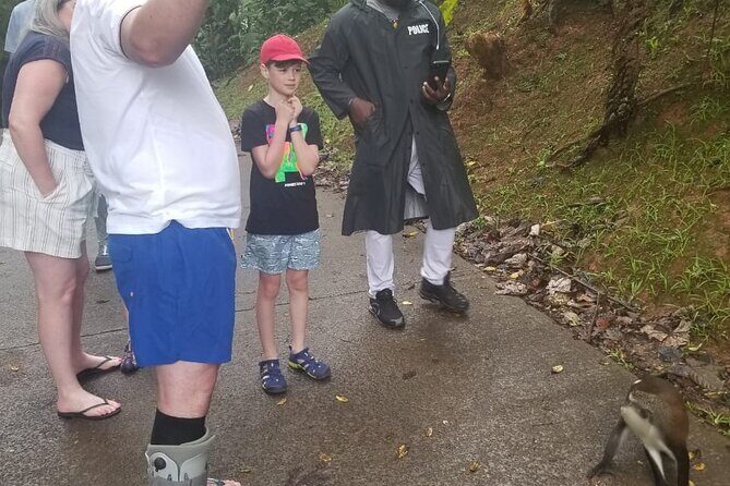 Half Day Tour - Popular Sites in Grenada, Forest Reserve,Spice Market,Waterfalls - Who Will Love This Tour?