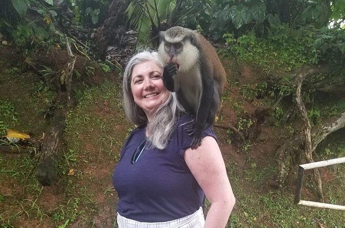 Half Day Tour - Popular Sites in Grenada, Forest Reserve,Spice Market,Waterfalls - Final Thoughts