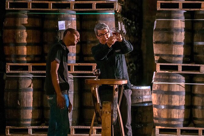 Half-Day Tour: Ron Barceló Factory Experience from Santo Domingo - A Look at the Ron Barceló Factory Experience from Santo Domingo