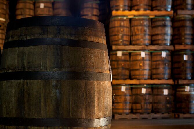 Half-Day Tour: Ron Barceló Factory Experience from Santo Domingo - Transportation, Duration, and Booking Details