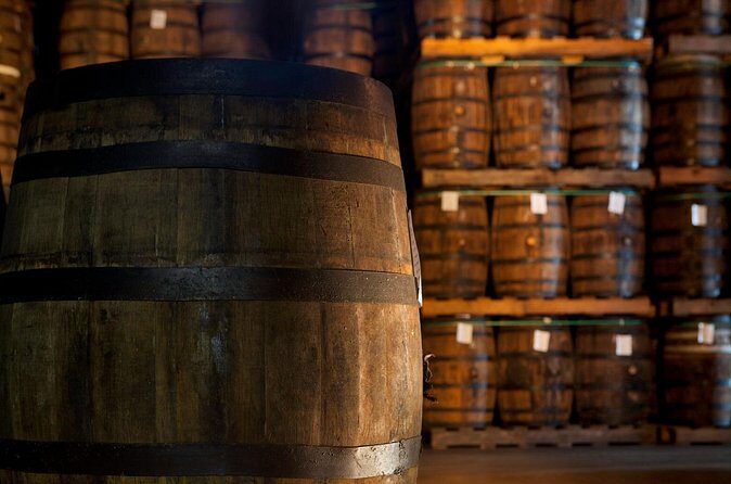 Half-Day Tour: Ron Barceló Factory Experience from Santo Domingo - Who Should Consider This Tour?