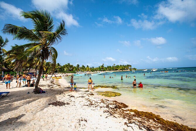 Half-day Tour Sea Turtles Encounter in Akumal Bay - Frequently Asked Questions