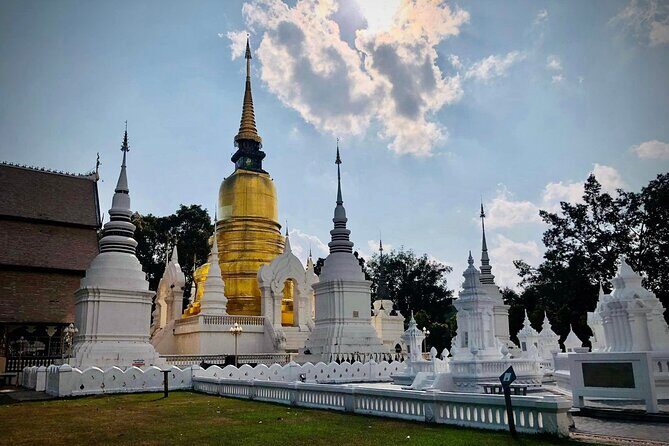 Half Day tour Suan Dok Temple, Umong temple & Doi Suthep Temple - Discovering Chiang Mai’s Sacred Sites: A Complete Review of the Half-Day Temple Tour