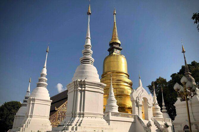 Half Day tour Suan Dok Temple, Umong temple & Doi Suthep Temple - Who Will Love This Tour?