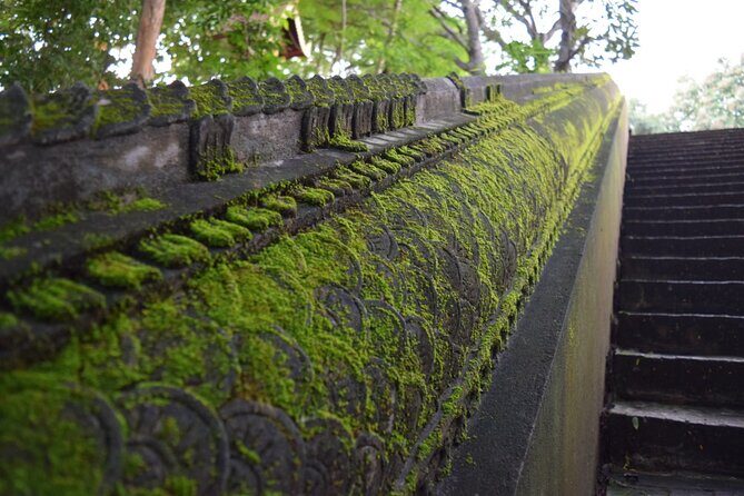 Half Day tour Suan Dok Temple, Umong temple & Doi Suthep Temple - Frequently Asked Questions