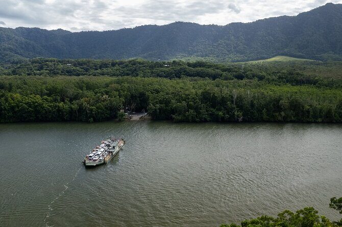 Half Day Tour to Daintree Rainforest and Mossman Gorge - Final Thoughts