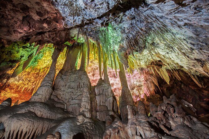 Half Day Tour to Dinosaur Land in Mallorca - In-Depth Look at the Itinerary