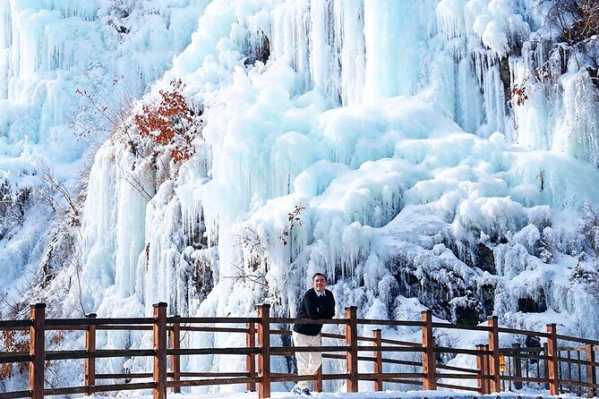 Half Day Tour to Eobi Ice Valley and Nami Island - Key Points