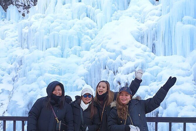 Half Day Tour to Eobi Ice Valley and Nami Island - The Experience: Highlights and Considerations