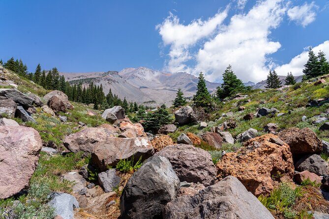 Half Day Tour to Faery Waterfalls, Castle Lake and Mount Shasta - Introduction: Why This Tour Might Be Just Right for You
