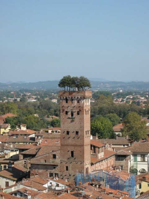 Half-Day Tour to Lucca From Florence - The Itinerary in Detail