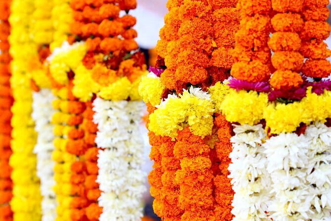 Half Day Tour to the Flower Market and Howrah Bridge in Kolkata - Who Is This Tour Best Suited For?