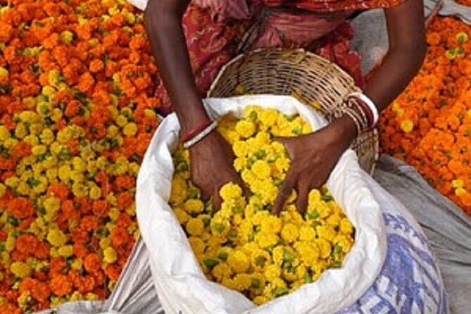 Half Day Tour to the Flower Market and Howrah Bridge in Kolkata - Final Thoughts