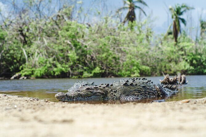 Half-Day Tour to Ventanilla, Mazunte, Zipolite and Puerto Angel - A Full Breakdown of the Itinerary