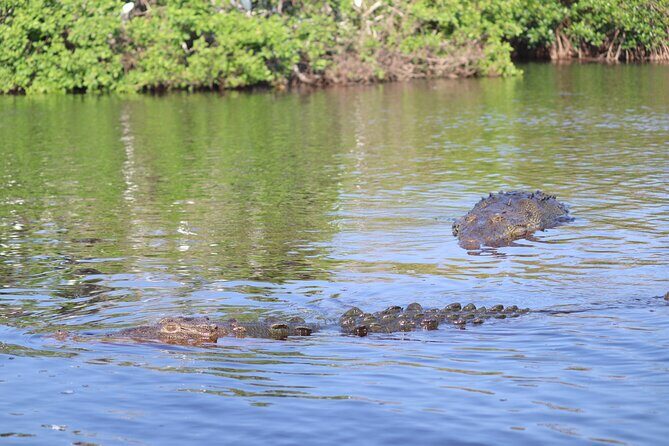 Half-Day Tour to Ventanilla, Mazunte, Zipolite and Puerto Angel - Who Should Consider This Tour?