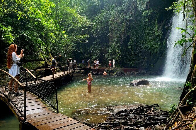Half Day Tour Ubud Rice Terrace with Activities and Waterfall - Key Points