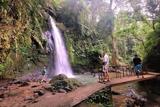 Half Day Tour Ubud Rice Terrace with Activities and Waterfall - A Closer Look at the Itinerary