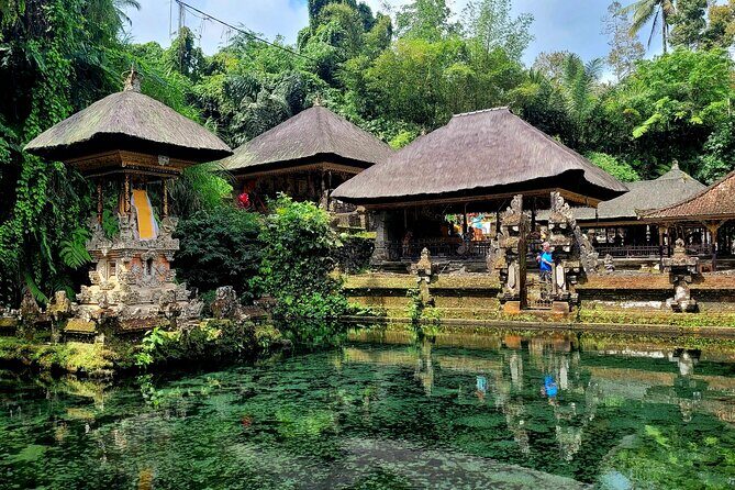 Half Day Tour Ubud Rice Terrace with Activities and Waterfall - Practical Considerations