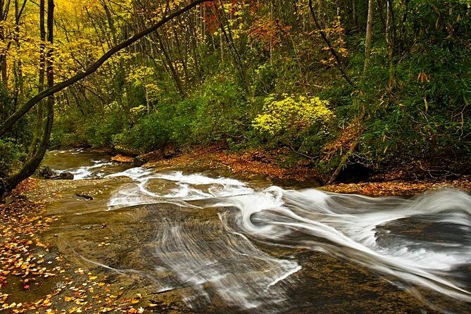 Half-Day Tour With Instruction in Vistas & Waterfall Photography - The Learning Experience: What You Can Expect
