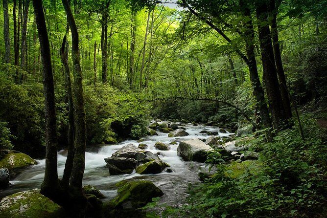 Half-Day Tour With Instruction in Vistas & Waterfall Photography - Pricing and Value