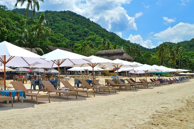 Half Day Tour with Snorkeling in Colomitos and Playa las Animas - Final Thoughts: Is This Tour Worth It?