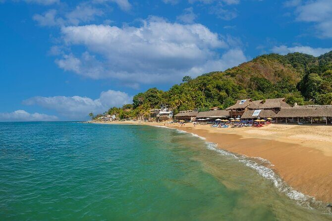 Half Day Tour with Snorkeling in Colomitos and Playa las Animas - FAQ