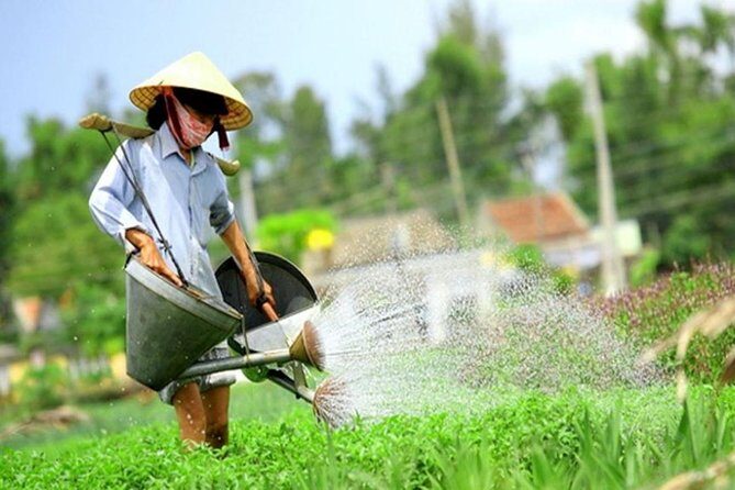 Half -Day Tra Que Herbal Village Tour from Hoi An - Engaging Review of the Half-Day Tra Que Herbal Village Tour from Hoi An