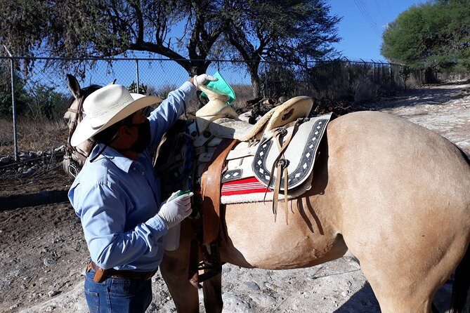 Half Day Trail Riding in San Miguel de Allende - Discovering the Half Day Trail Riding Experience