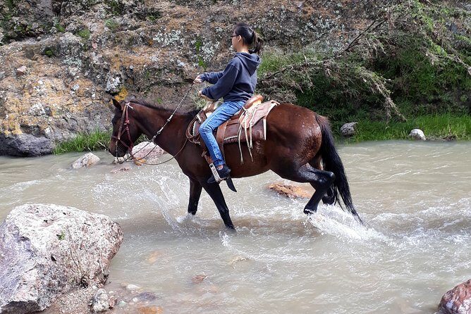 Half Day Trail Riding in San Miguel de Allende - Final Thoughts