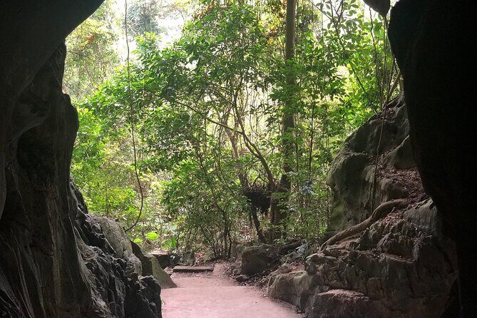 Half Day Trekking Cat Ba National Park - Final Thoughts: Who Will Love This Tour?