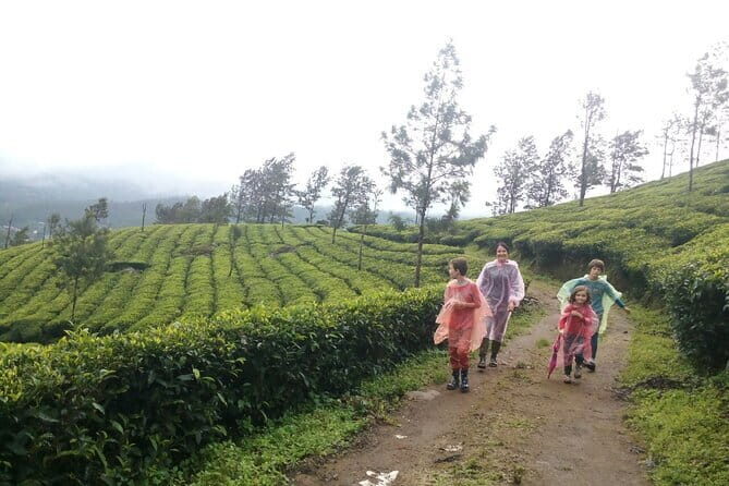 Half Day Trekking In Munnar - The Final Verdict