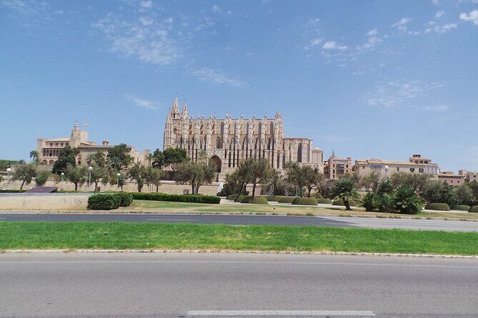 Half Day Trike Tour from Paguera - An Authentic Mallorca Adventure: What the Tour Offers