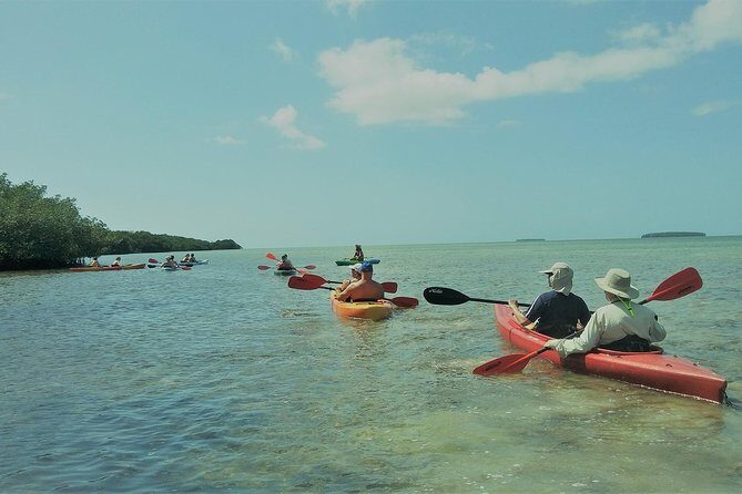 Half-Day Trip from Key West with Kayaking, Snorkeling & Sunset - Why This Tour Offers Great Value
