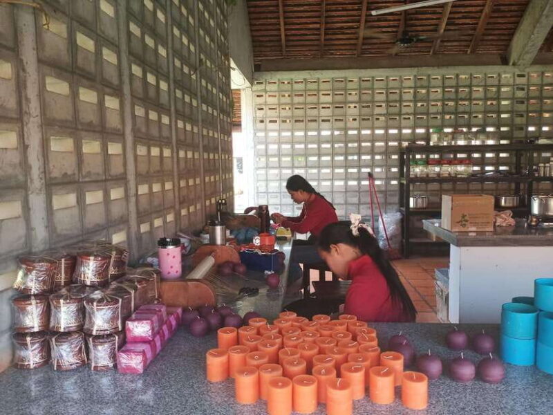 Half Day Trip: Silk Farm, Satcha, and Senteur d'Angkor Tour - A Detailed Look at the Tour