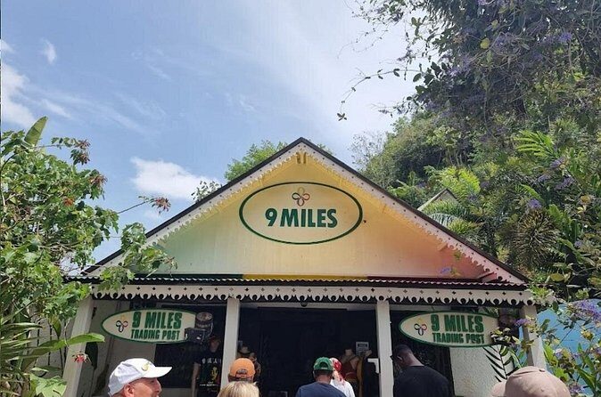 Half Day Trip to Bob Marley Museum in Nine Mile - What Travelers Say