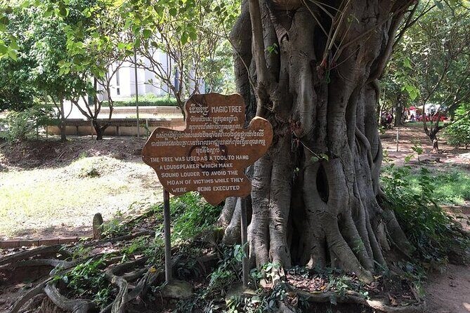 Half Day Trip to Killing Field and Genocidal Museum - Final Thoughts on Value and Experience