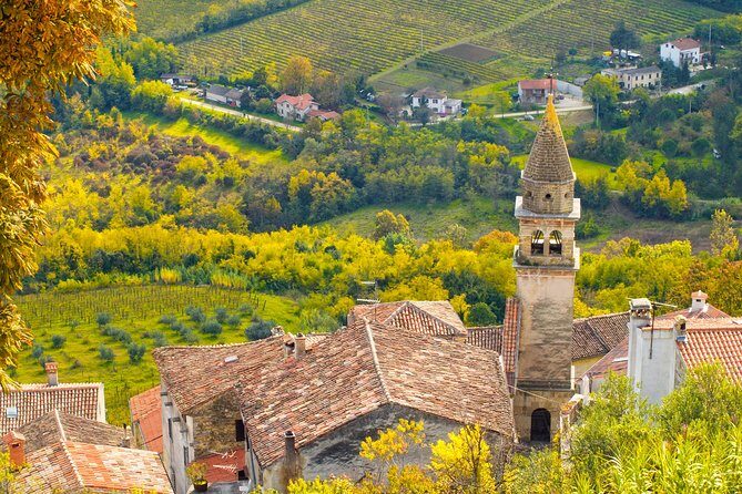 Half day trip to Motovun with Local Brandies Tasting - Key Points