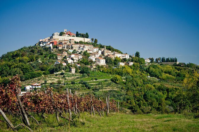Half day trip to Motovun with Local Brandies Tasting - The Sum Up: Why This Tour Stands Out
