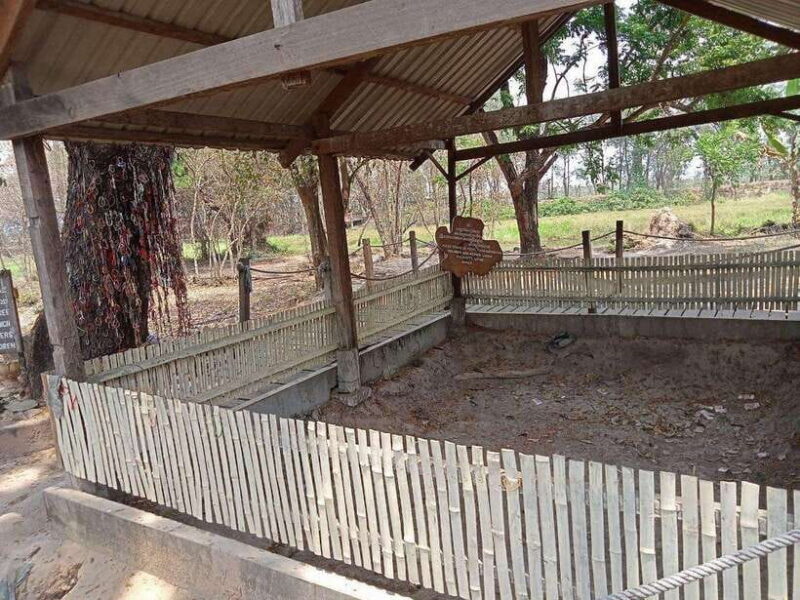 Half Day Trip to S21 Prison Genocidal Museum & Killing Field - Detailed Itinerary & What to Expect